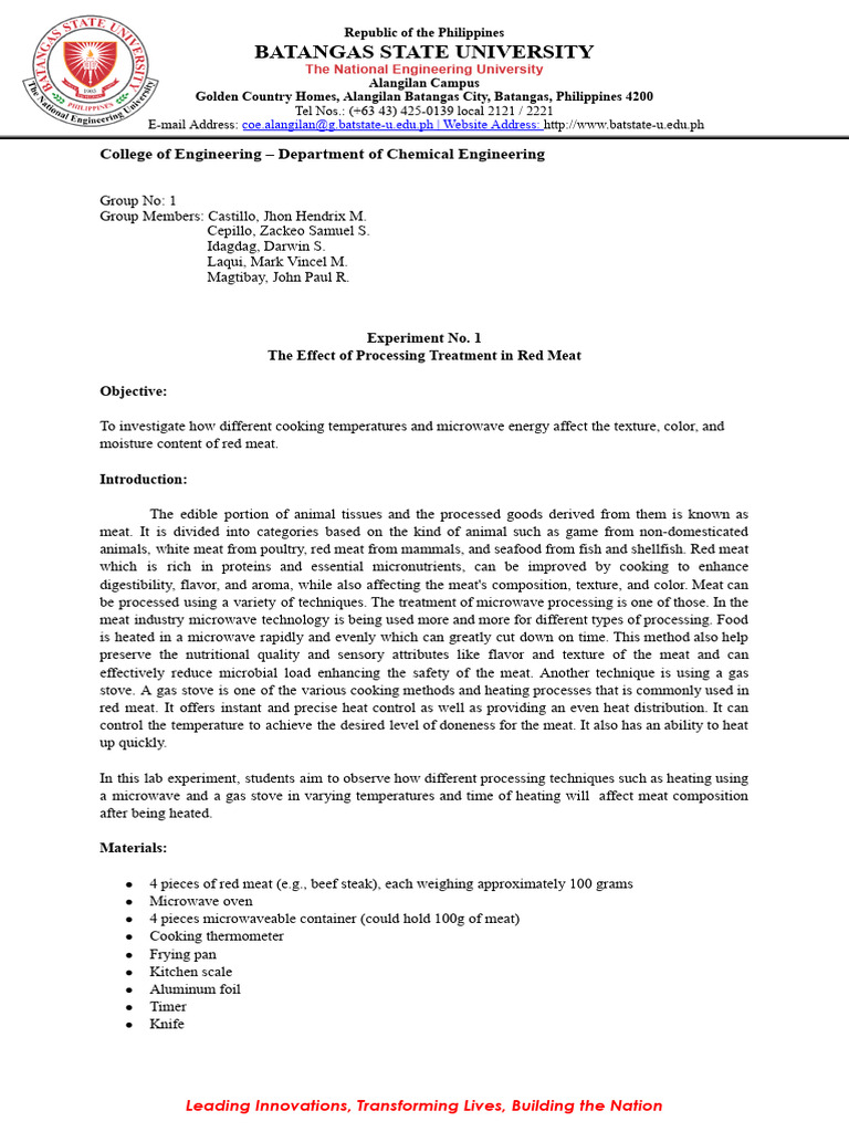 Laboratory Experiment No. 1 GROUP - 1 | PDF | Cooking | Meat