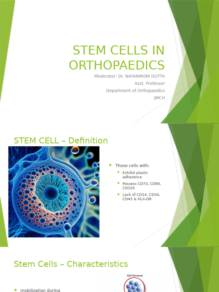 Stem Cells in Orthopaedics: Applications & Types | PDF | Cell Potency | Stem Cell