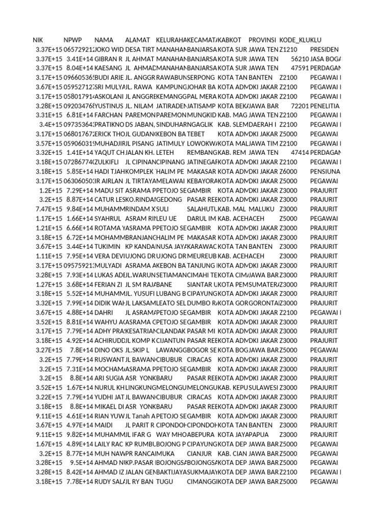 NPWP 10k Sample | PDF