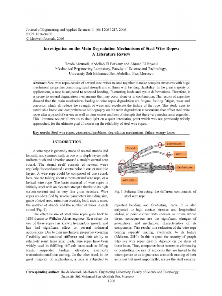 1206 1217 | PDF