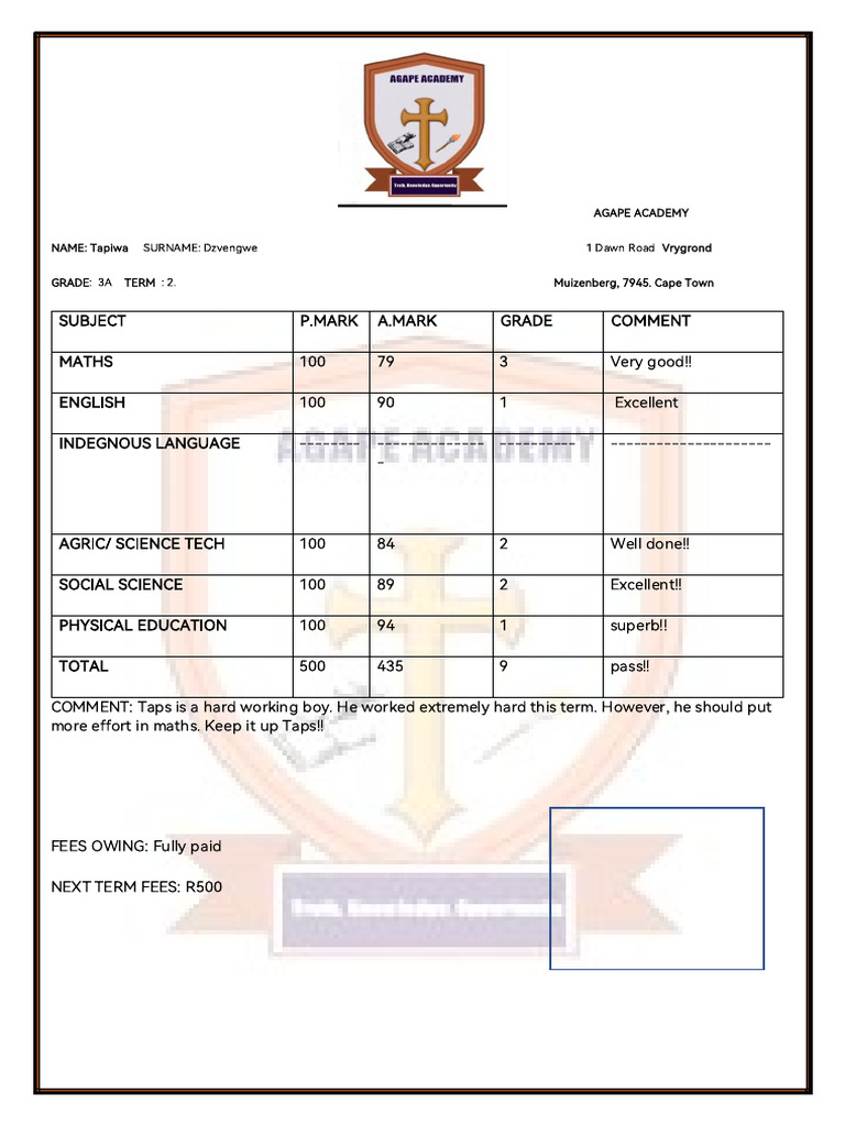 Grade 3A Term 2 Report Card | PDF