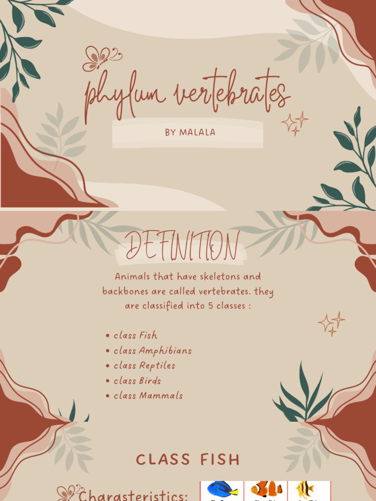 Vertebrate Classes and Traits Guide | PDF