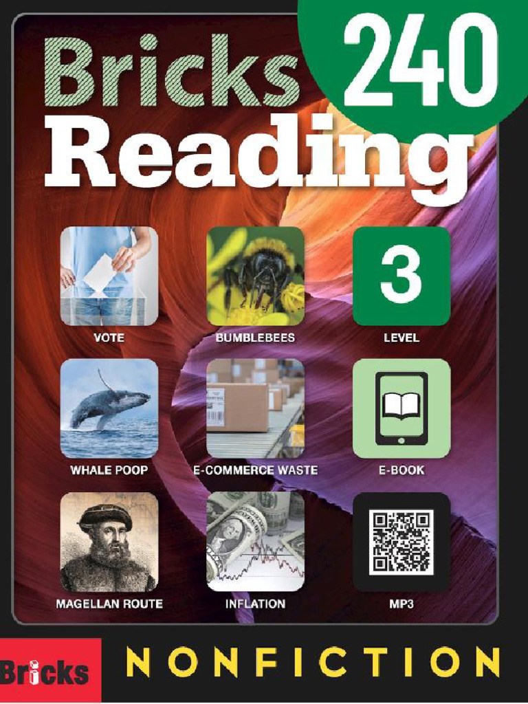 Bricks Reading 240-3 | PDF