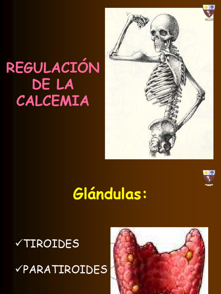 REGULACIÓN DE LA CALCEMIA | PDF | Calcio | Sistema endocrino