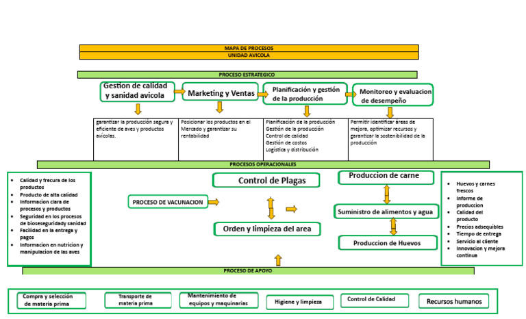 Mapa de Procesos Olmer | PDF | Calidad (comercial) | Logística