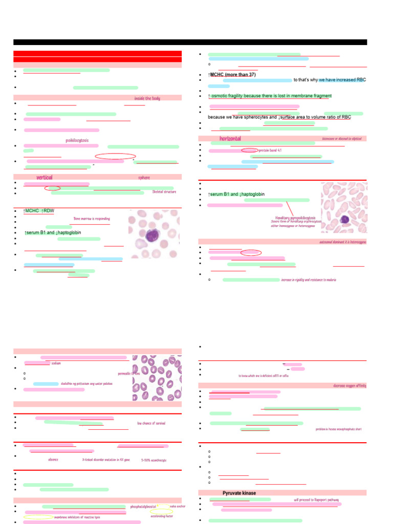 L2 - 5 Anemia and Other RBC Disorders | PDF | Anemia | Red Blood Cell
