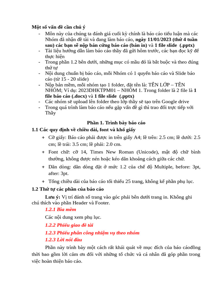Các lưu ý làm Báo cáo tiểu luận - K18 | PDF