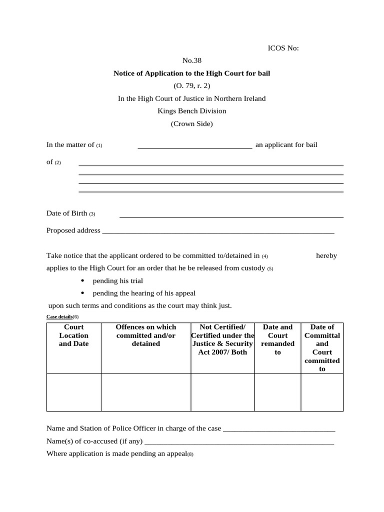 High Court Bail Application Form - 1 | PDF | Bail | Legal Procedure