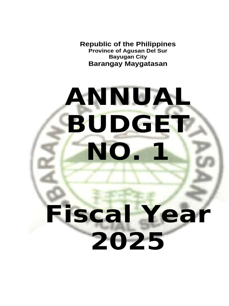 Barangay Maygatasan Budget 2025 | PDF | Budget | Government