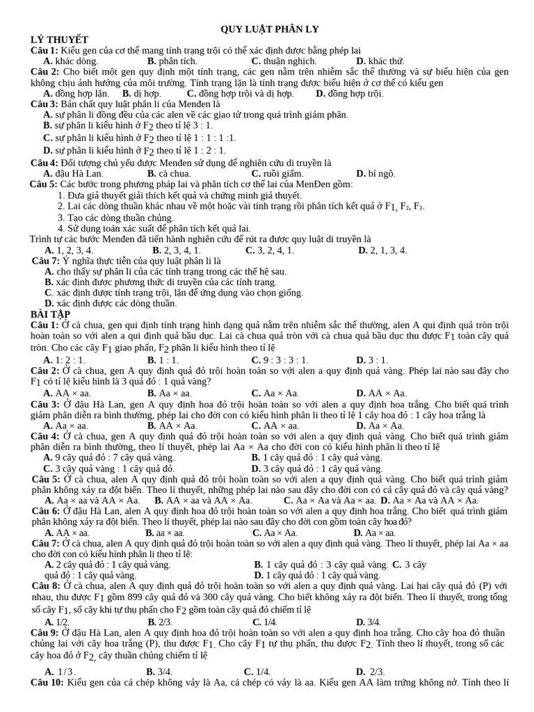 Men Den LQD | PDF