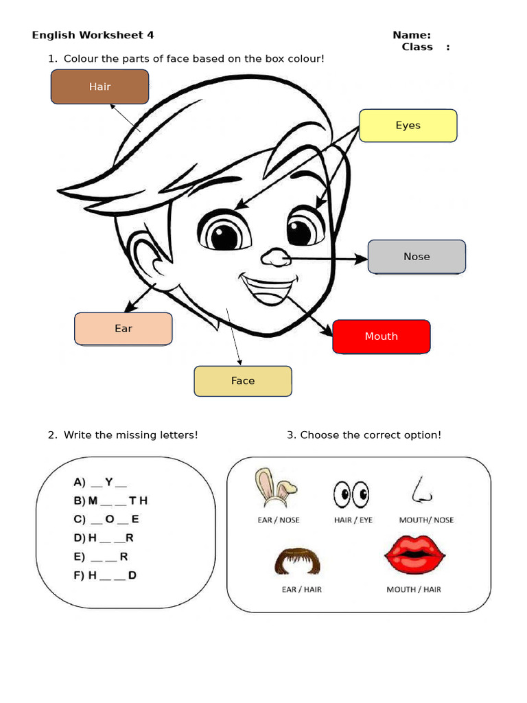 English Worksheet For 1st Grade (Part of Face) | PDF