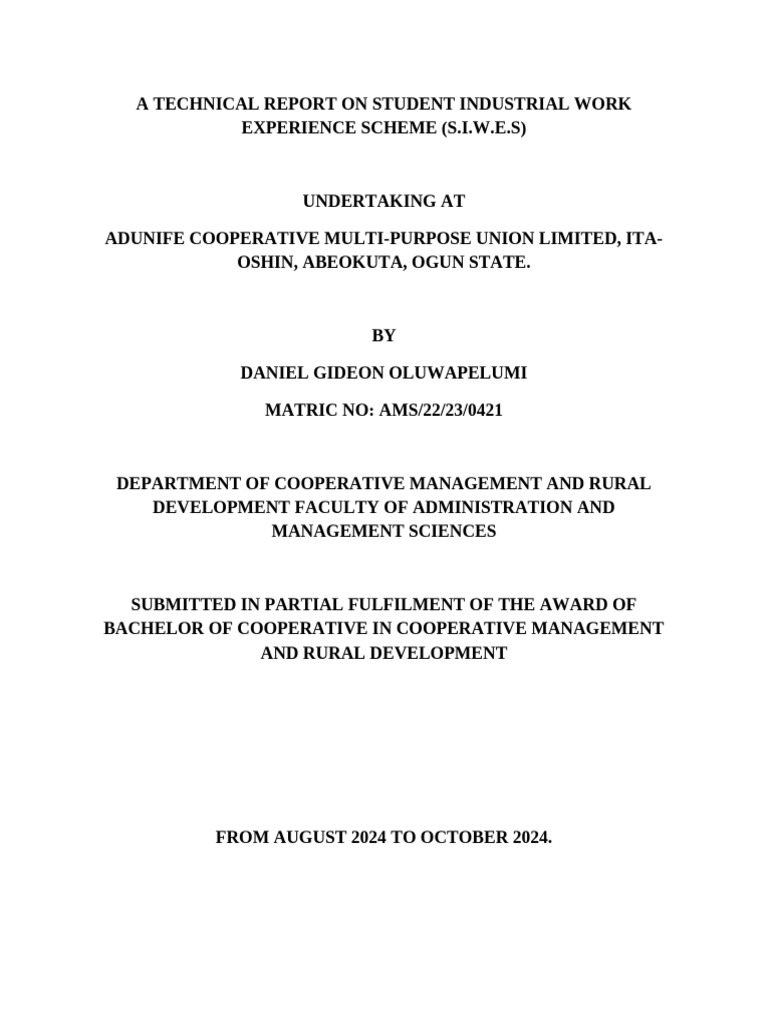 Daniel Gideon Oluwapelumi | PDF | Business