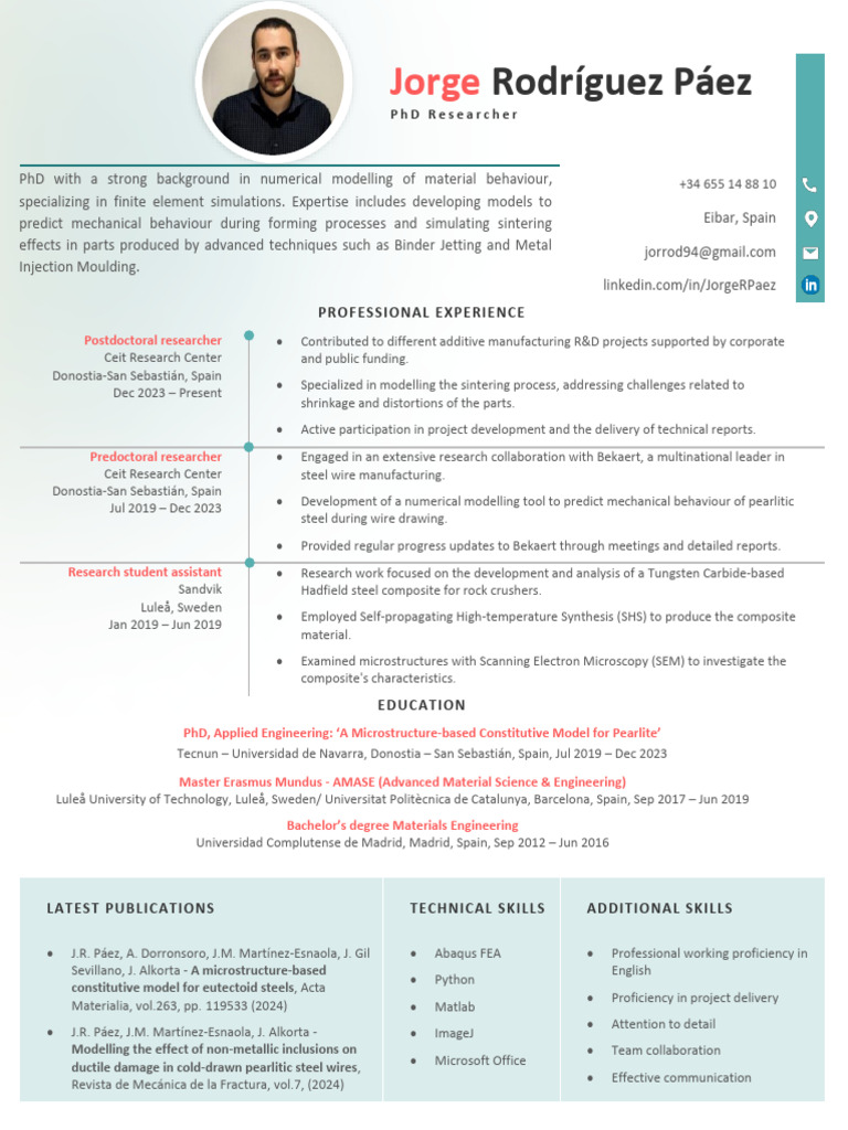 CV JorgeRodriguezPaez | PDF | Materials | Physical Sciences