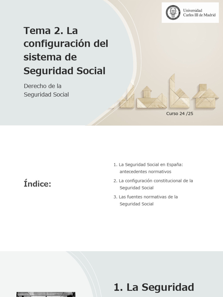 Tema 2 Dss 23 24 (1) BP | PDF | Bienestar | Derecho laboral