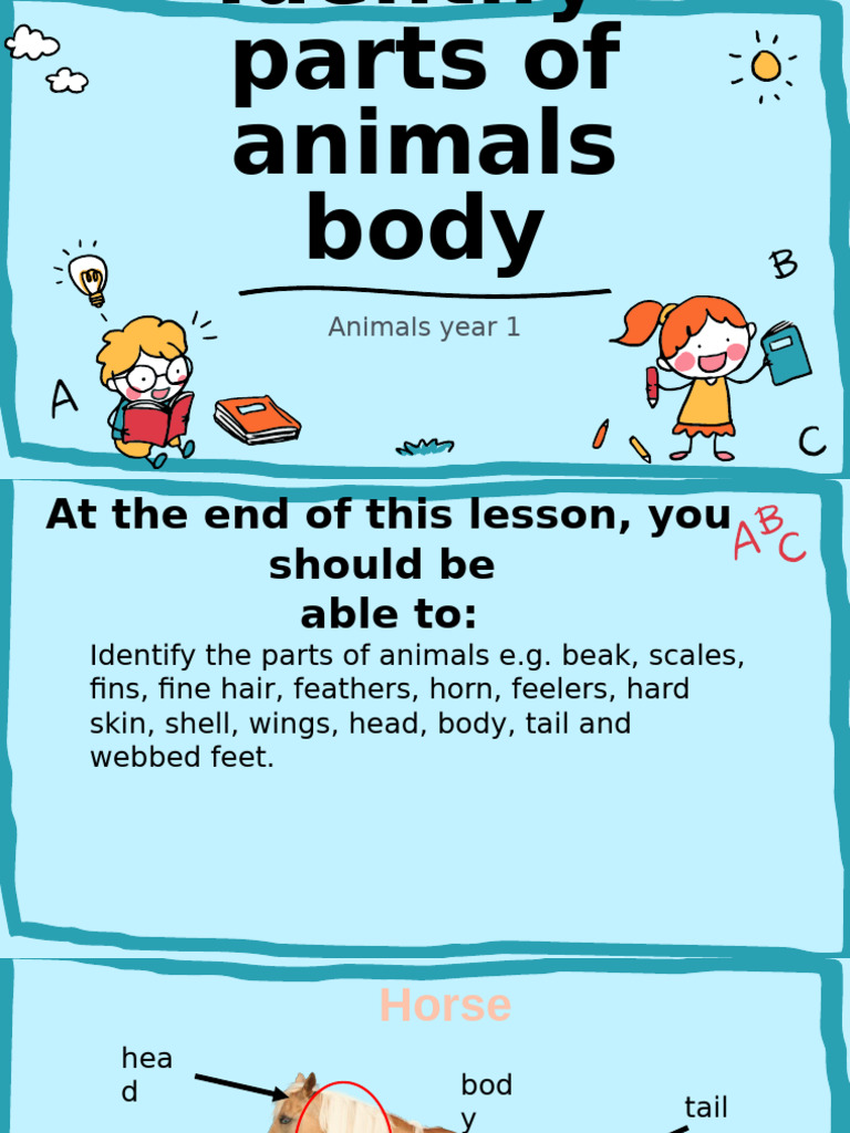 Body Parts of Animals | PDF
