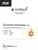 Year 8 Photosynthesis Learning Guide | PDF | Leaf | Photosynthesis