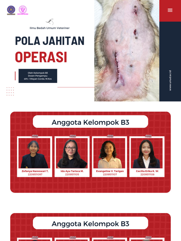B3 - Pola Jahitan Operasi - Ilmu Bedah Umum Veteriner | PDF