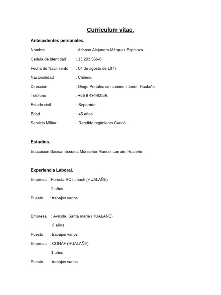 Curriculum Alejandro | PDF | Hogar, jardinería y bricolaje