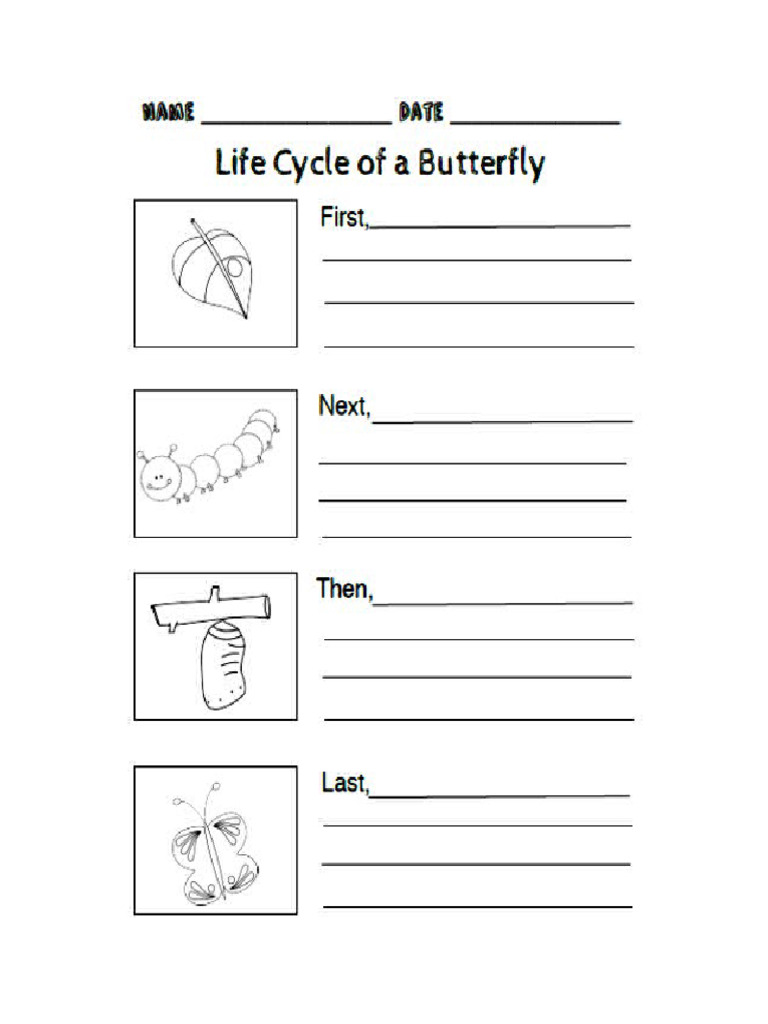 Butterfly Life Cycle Worksheet | PDF