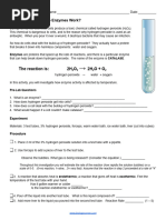 Enzyme Activity Lab: Catalase Effects | PDF | Catalase | Enzyme