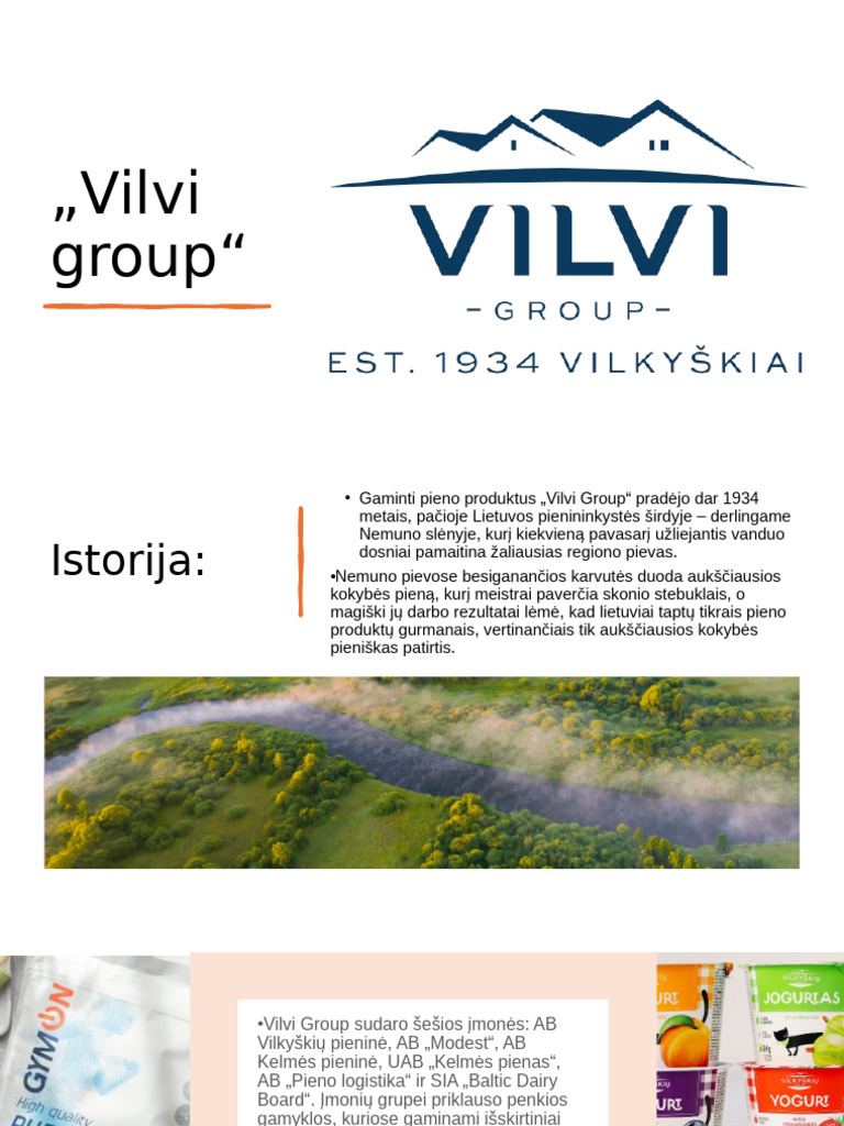 Pramonės Pristatymas (Vilvi Group) | PDF