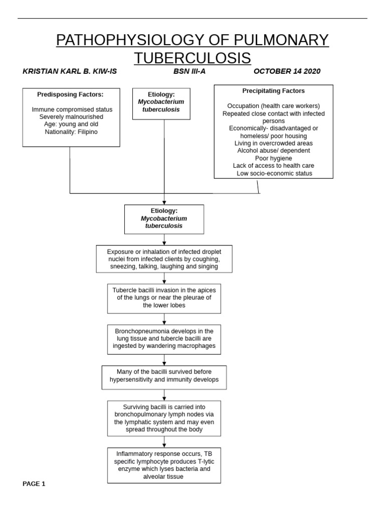 Pulmonary Tuberculosis Pathophysiology | PDF | Tuberculosis | Lung
