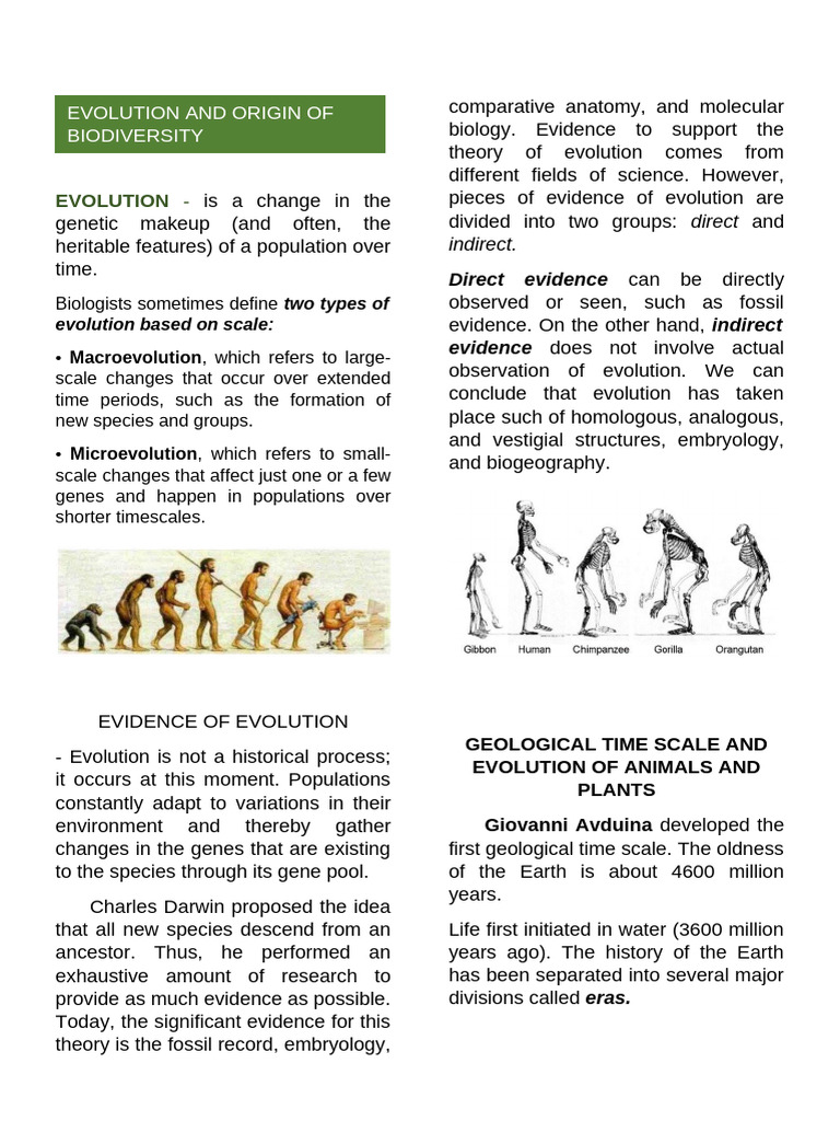 Evolution: A Comprehensive Overview | PDF | Taxonomy (Biology ...