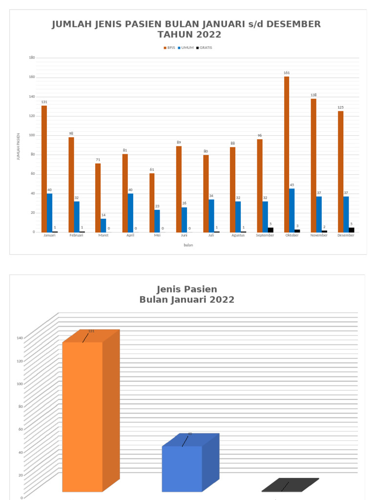 Diagram Jenis Pasien 2022 | PDF