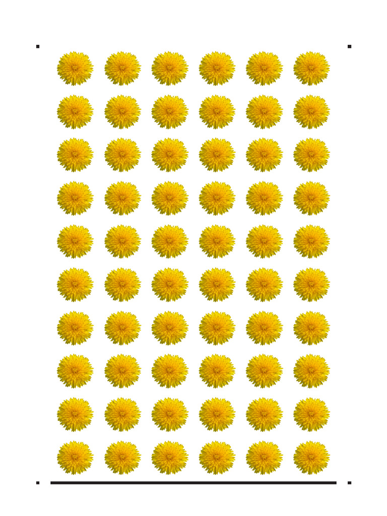 Untitled-2 Papadie | PDF