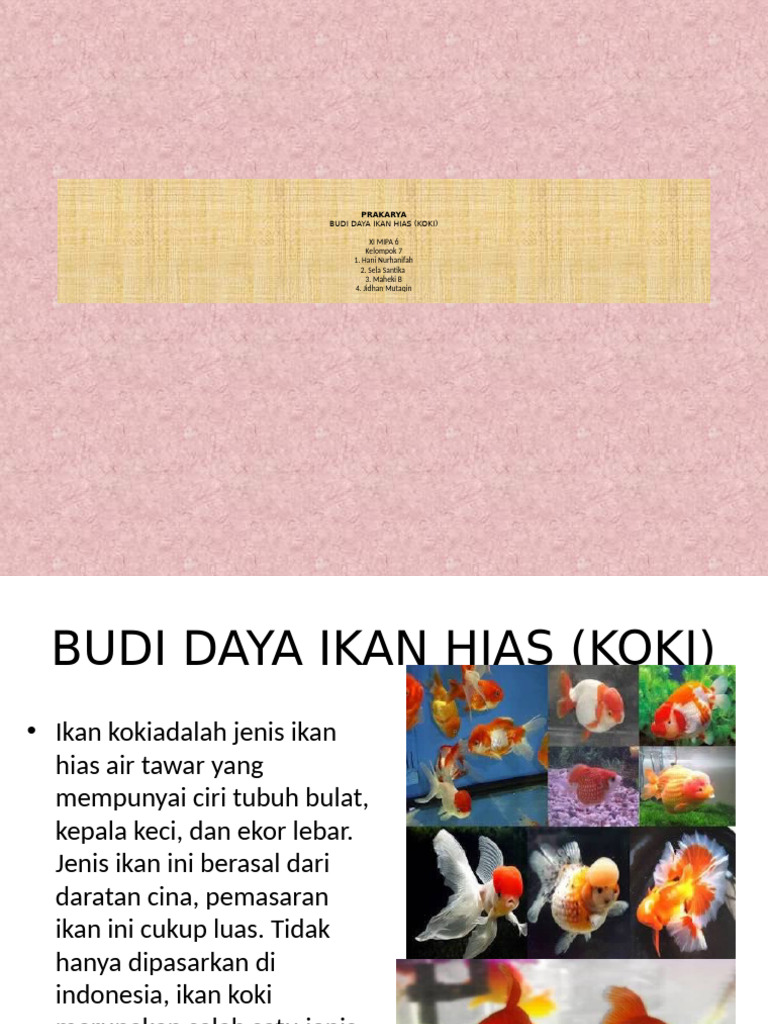 Budi Daya Ikan Koki | PDF | Kesehatan Holistik