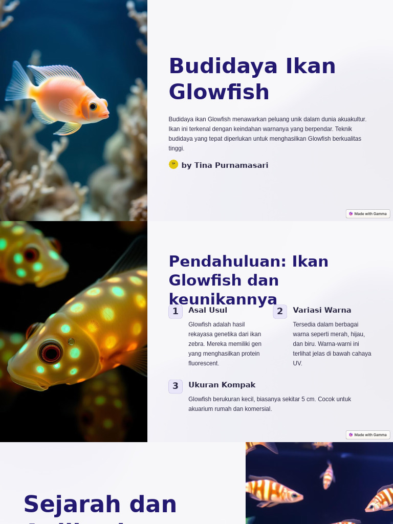 Budidaya-Ikan-Glowfish | PDF