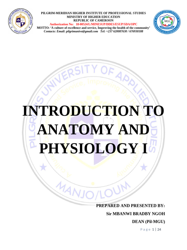 INTRO TO ANATOMY 1 | PDF | Lymphatic System | Human Body