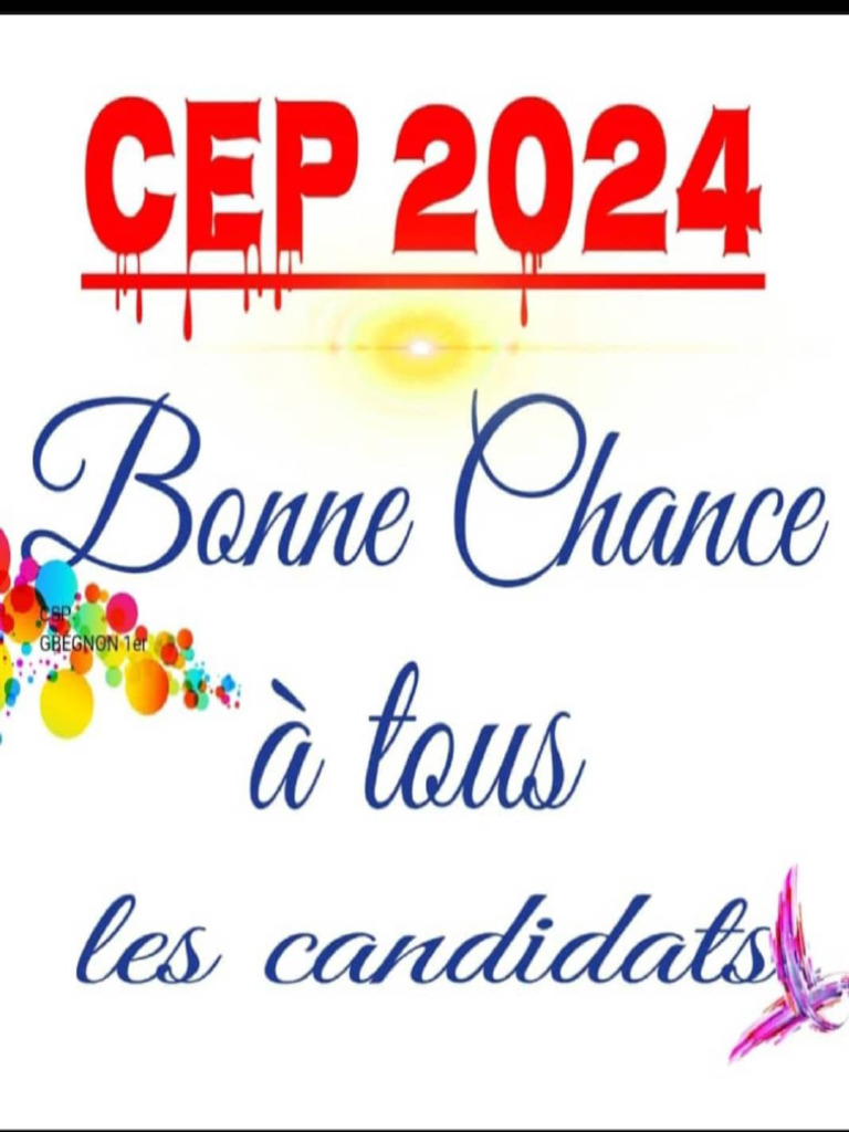 PDF Phoenix 20240629 | PDF