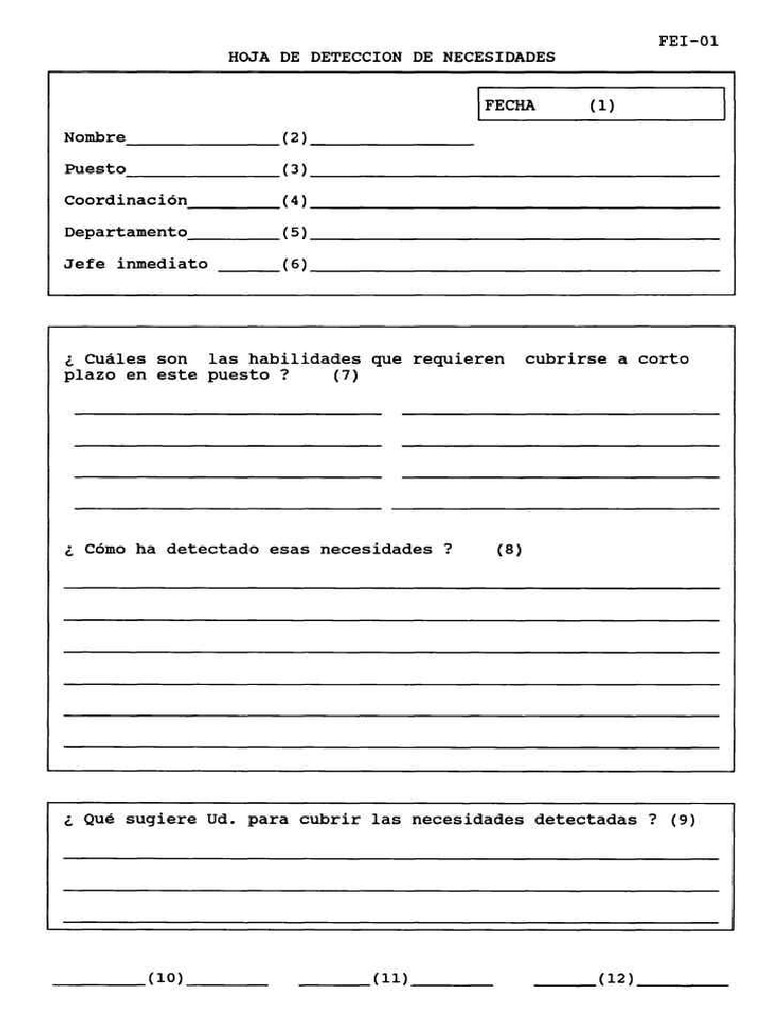 Formatos DNC | PDF