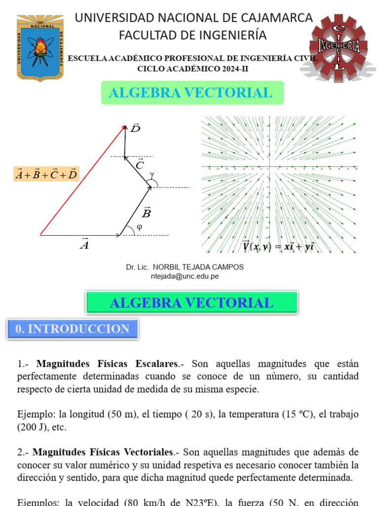 Algebra Vectorial 2024-II | PDF | Vector Euclidiano | Espacio vectorial
