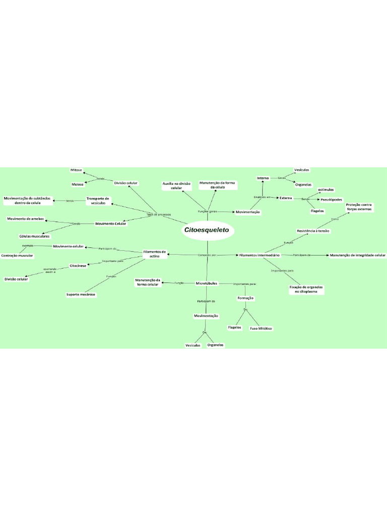 Mapa Conceitual - Citoesqueleto | PDF