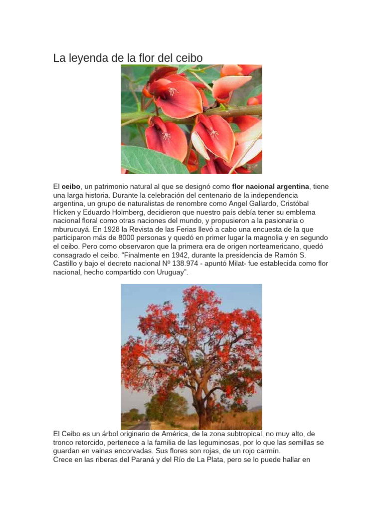 La Leyenda de La Flor Del Ceibo | PDF