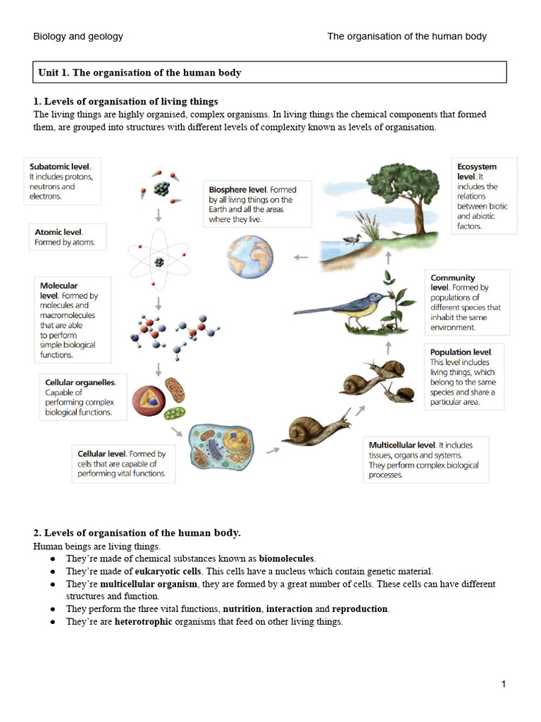 Unit 1 Biology and Geology | PDF | Cell (Biology) | Muscle