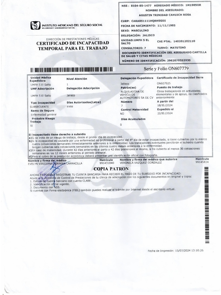 IMSS | PDF
