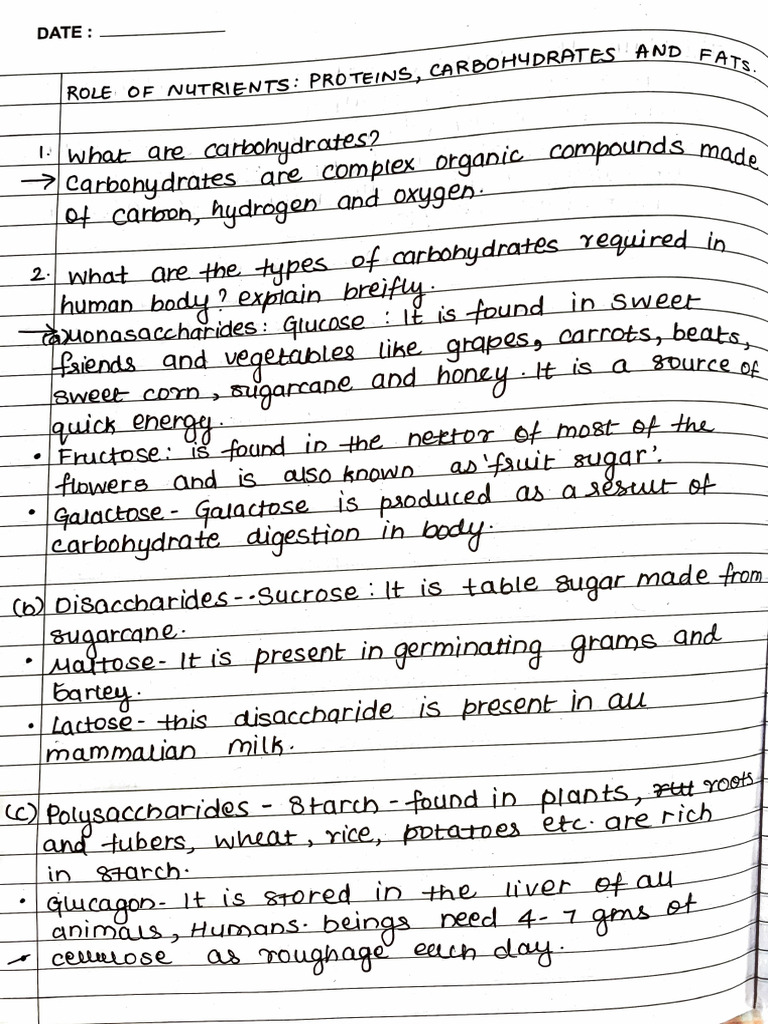 Home Sci Chapt 10 | PDF