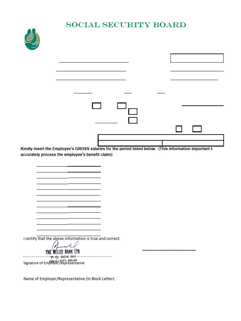 Social Security Salaries Record Form | PDF | Access Control ...