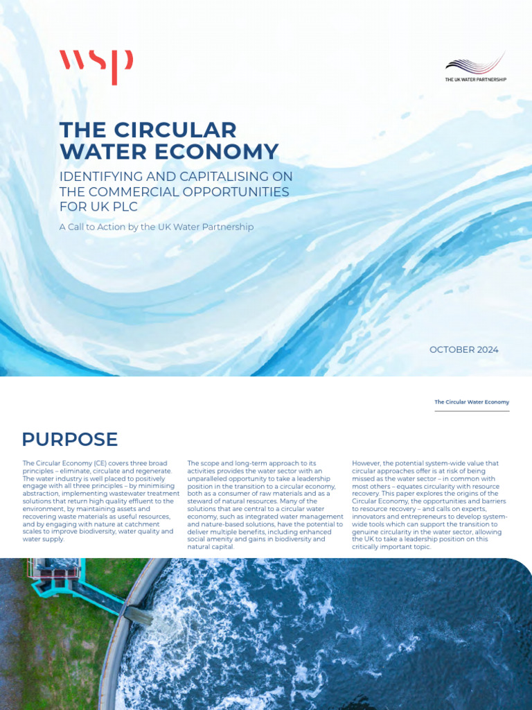 UK Water Partnership Whitepaper | PDF | Water | Infrastructure