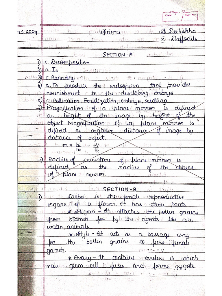 Science X | PDF