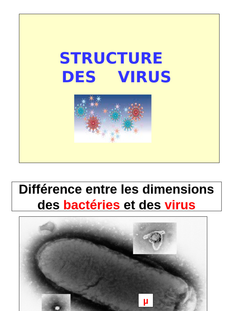 01 Structure Virale | PDF | Virus | Cellule (Biologie)