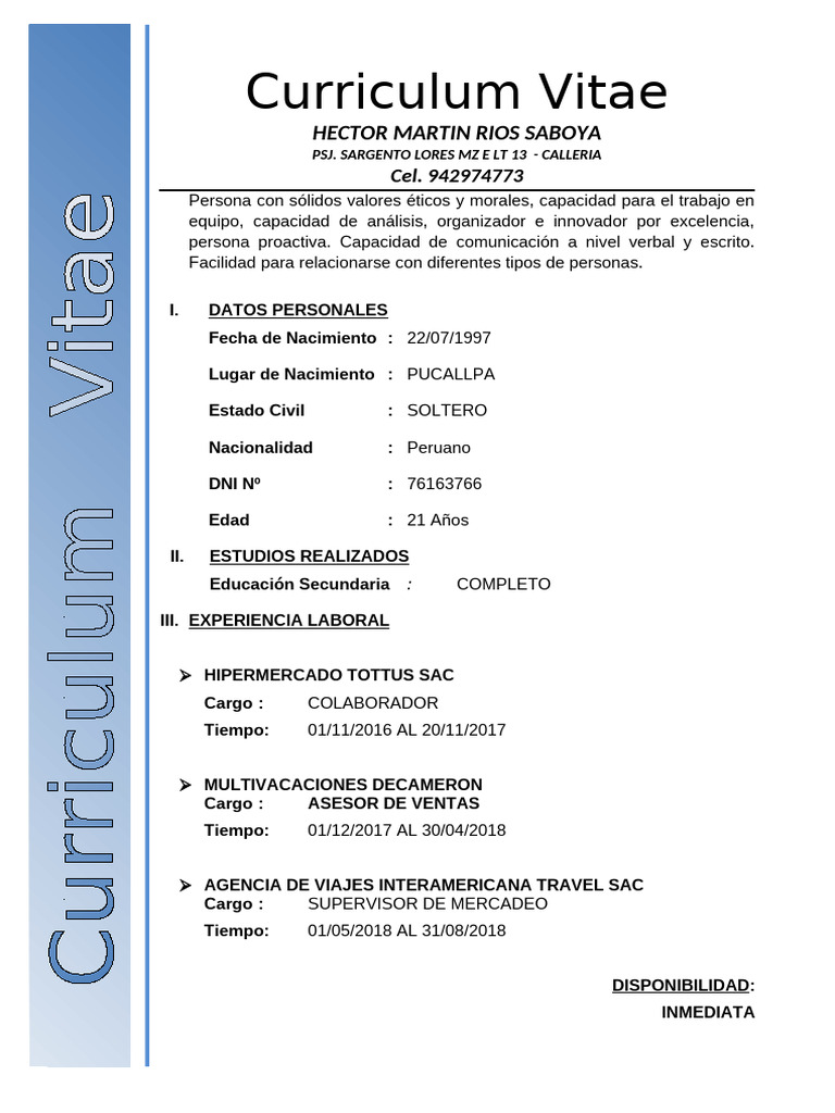 Curriculum Hector | PDF