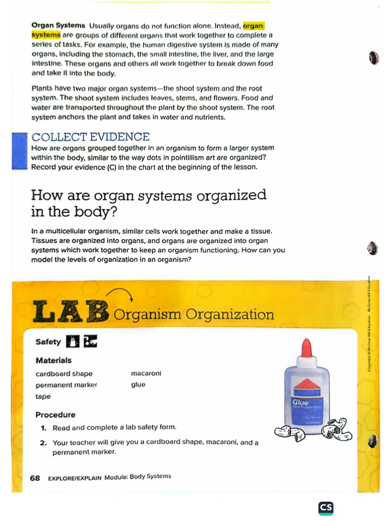 Inspire Science Book | PDF