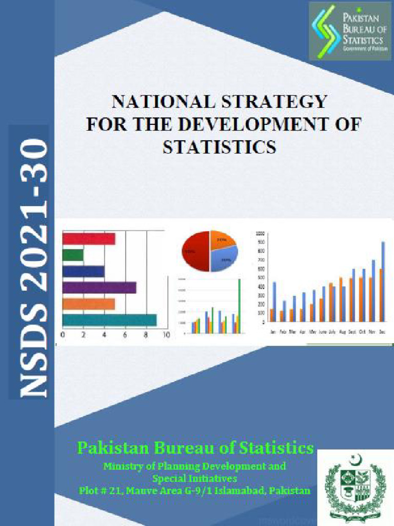 National Strategy For The Development of Statictics | PDF | Official ...