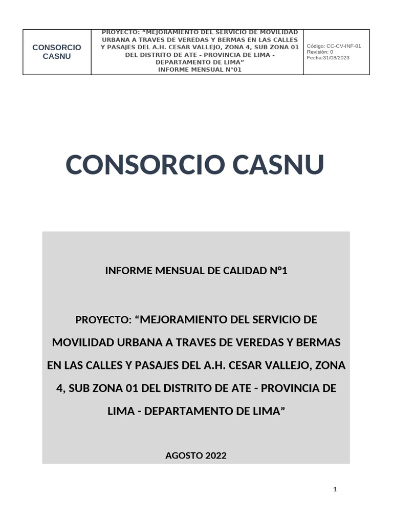 CESAR VALLEJO Inf. Mens. de Calidad #01 - JAH - OK | PDF | Calidad (comercial) | Laboratorios