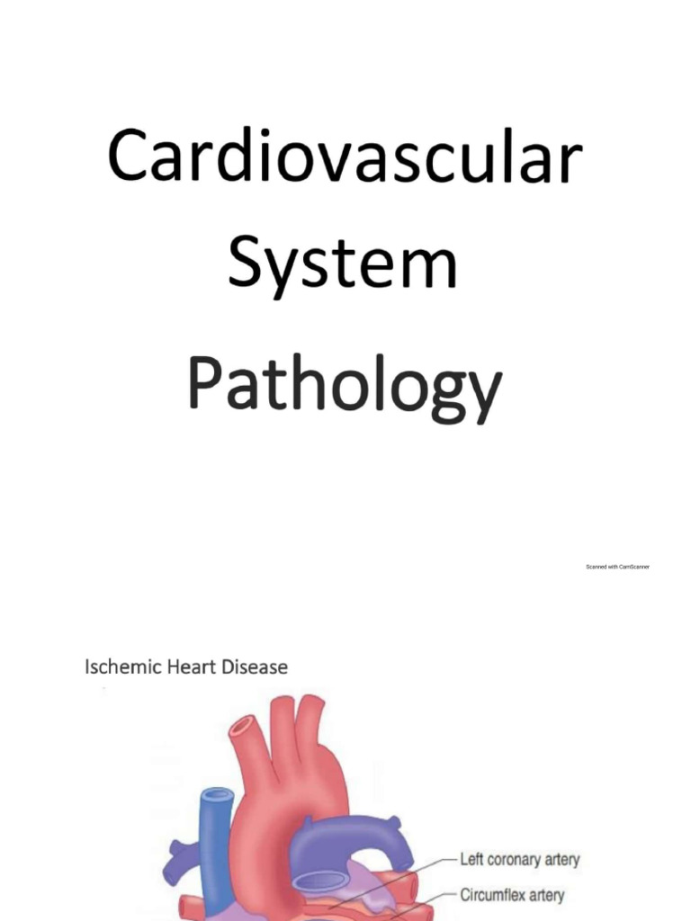 Cardiovascular System, Pathophysiology | PDF