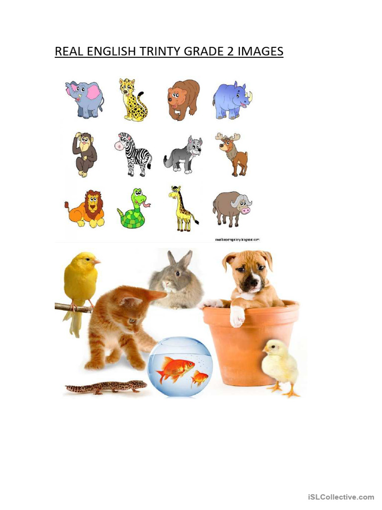 Trinity GESE Grade 2 Speaking Guide | PDF | Foreign Language Studies